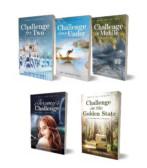 Challenge Series Novels | More Than Ordinary Lives