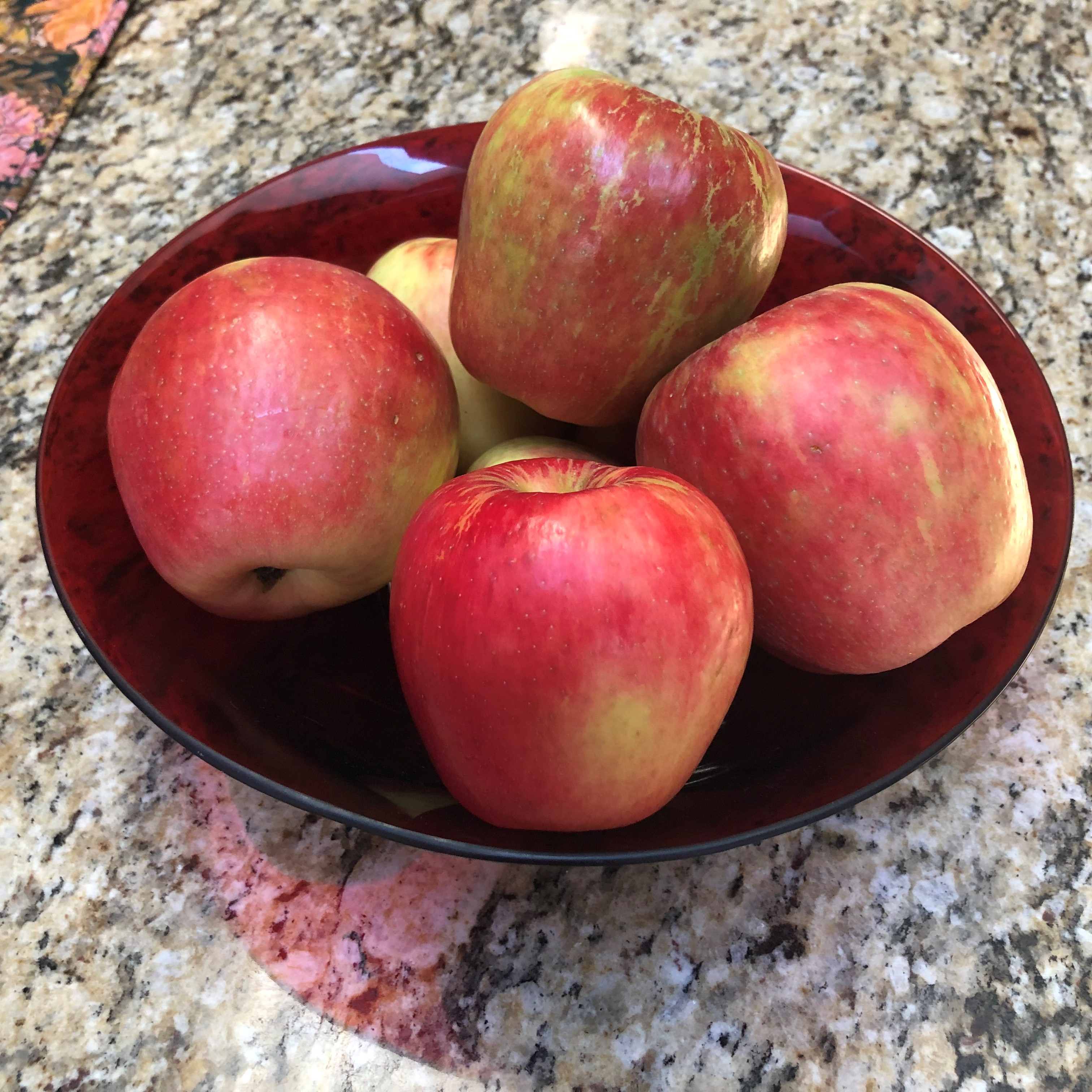 Growing Apples – 1 minute read | More Than Ordinary Lives